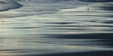 About Me — Christopher W Gowans Philosophy Fordham