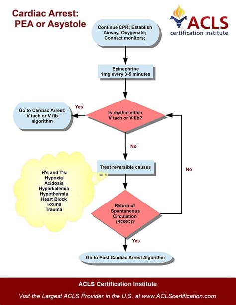 Acls Algorithms Flow Chart Images And Photos Finder