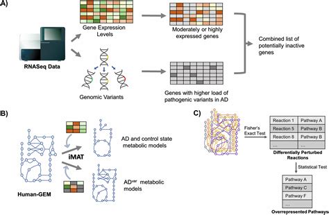 Rna Sequencing Reveals Hidden Metabolic Pathways In Alzheimers Disease