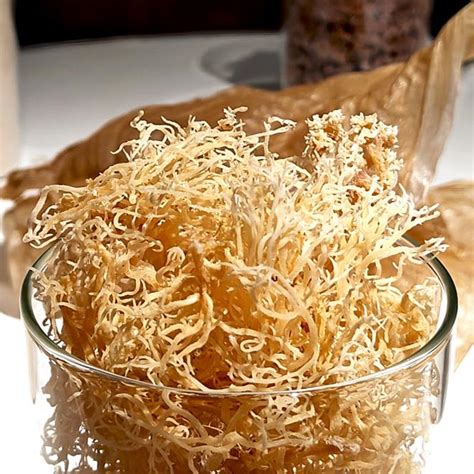 Carrageenan Manufacturer Carrageenan Factory Greenfresh