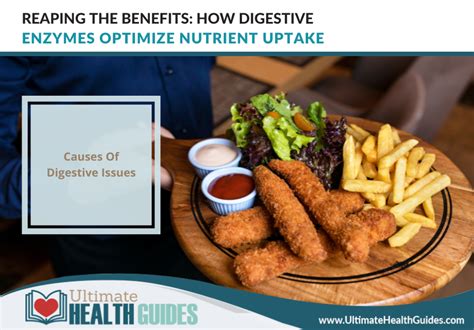 Reaping The Benefits How Digestive Enzymes Optimize Nutrient Uptake