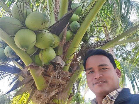 Sambath Nuon នួន សម្បត្តិ On Linkedin ទម្រាំតែបានផ្លែផ្កា អ្នកត្រូវការអ្វីខ្លះ សម្រាប់ខ្ញុំ៖ ១ …