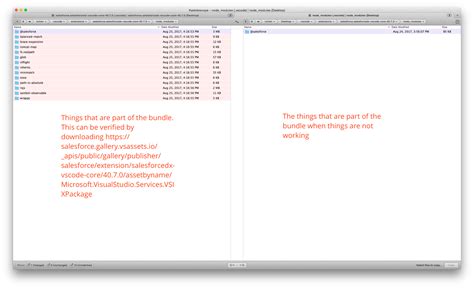 Vs Code Errors Activating Salesforce Salesforcedx Vscode Core Extension Issue