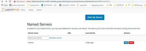 Redirect Loops And Failing Jupyter Notebook Authentication Jupyterhub