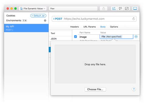 Use File Dynamic Values Anywhere RapidAPI For Mac Documentation