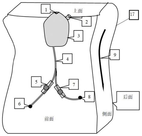 高仿真泌尿造口宣教模型的制作方法 2