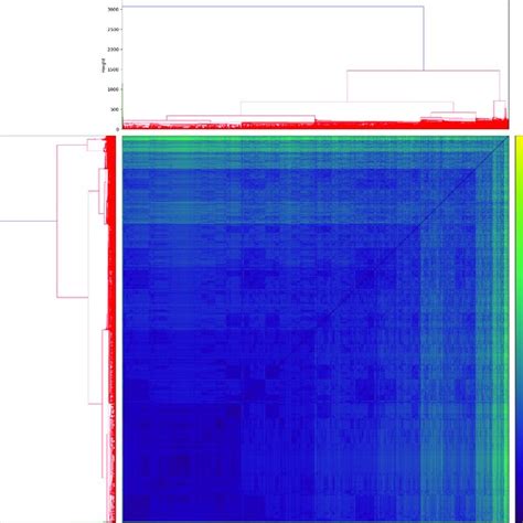 Dendrogram And Heatmap Of Clustering Results The X Axis Of The