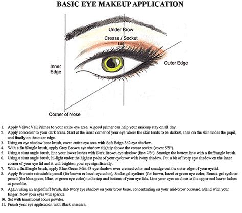 Applying Eye Makeup Diagram