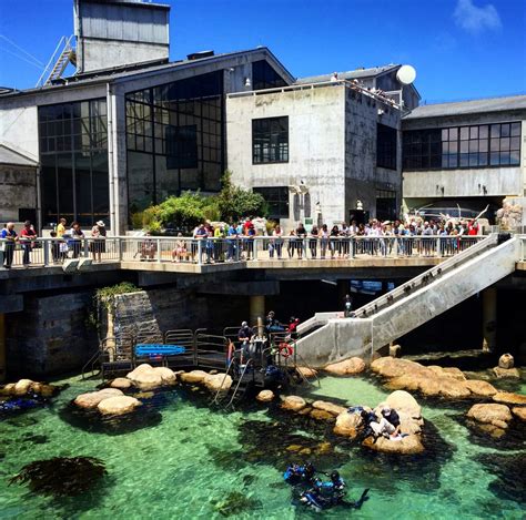 Monterey Bay Aquarium Oceanside Tim Hamby