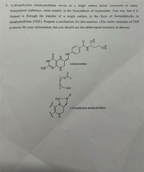5 10 Methylene Tetrahydrofolate Serves As A Single Carbon Donor Coenzyme