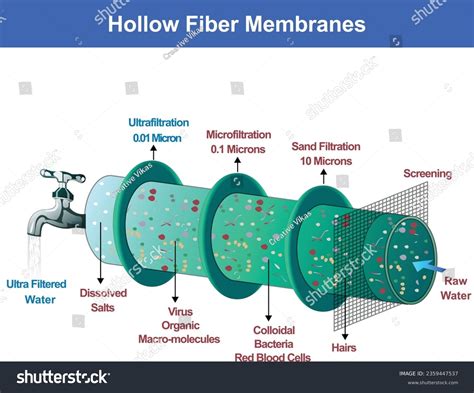 Vector Illustration Hollow Fiber Membranes Eps10 Stock Vector Royalty