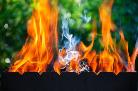 Summer Evening A Bright Fire In A Brazier Against A Nature Background