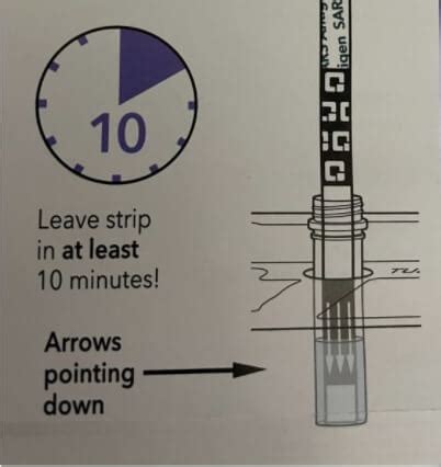 Quidel QuickVue At Home OTC COVID Test Kit Review Theskyshine Com