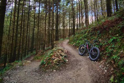 Where To Find The Best Cycling Routes In Cornwall Stay In Cornwall