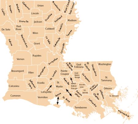 Louisianas Demographics Racial Groups And Examples Lesson