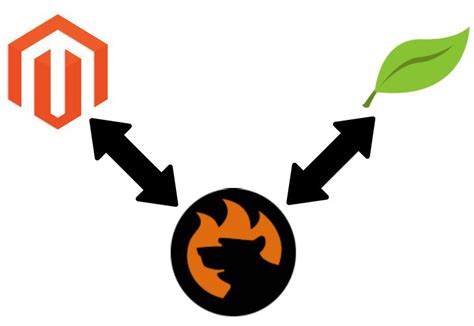 Freshbooks Overview And Magento 2 Integration Firebear