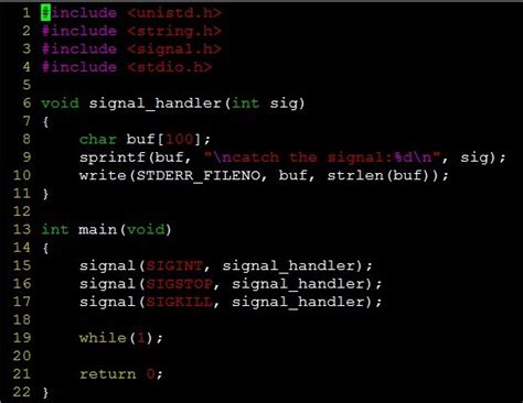 Linux C实践1：不可忽略或捕捉的信号—sigstop和sigkill Csdn博客