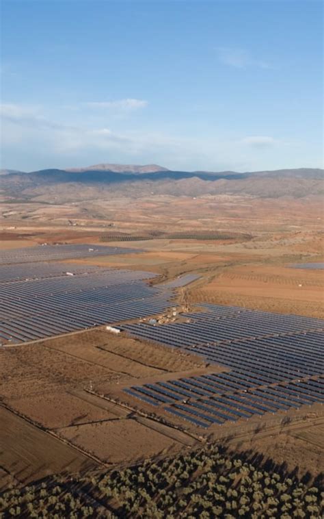 Supply Chain Traceability Assessment