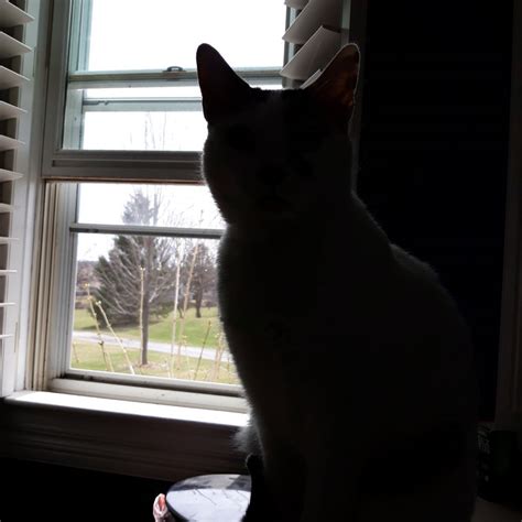 Hoverbot Vol3 Hoverman