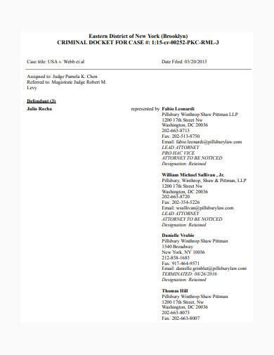 FREE Criminal Docket Samples In PDF MS Word