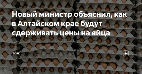 Новый министр объяснил как в Алтайском крае будут сдерживать цены на яйца ТОЛК Дзен