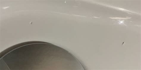 Douchebakken Reparaties Bij Respo Group