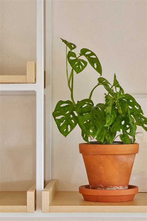 Architects Apartment By Rdth Architekti 谷德设计网