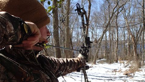 Compound Bows Have Evolved Into High Tech Archery Instruments