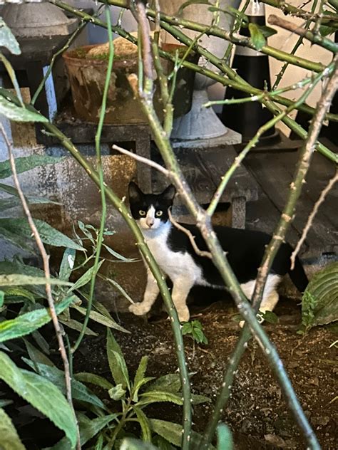 `오류 해결` 데이터 값 불러올 때 속성 값 Null