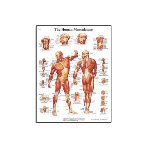 서울종로의료기