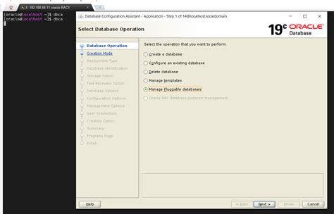 unplug and plugin a pluggable database pdb datalinks vn