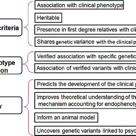 Pdf Endophenotype