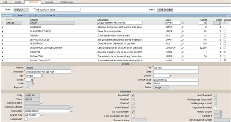 Setting Up Autonumber Functionality For A Given Application In Maximo 7