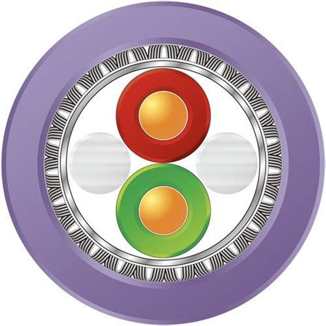 중국 사용자 지정 Profibus Dp 케이블 이중 코어 차폐 통신 케이블 제조 업체 공급 업체 공장 직접 도매 Hanyang