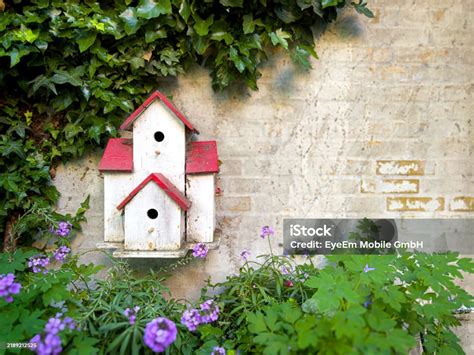 아름다운 꽃으로 둘러싸인 소박한 벽을 배경으로 아름답게 세워진 매력적인 새집 0명에 대한 스톡 사진 및 기타 이미지 0명 건축물 경관 Istock