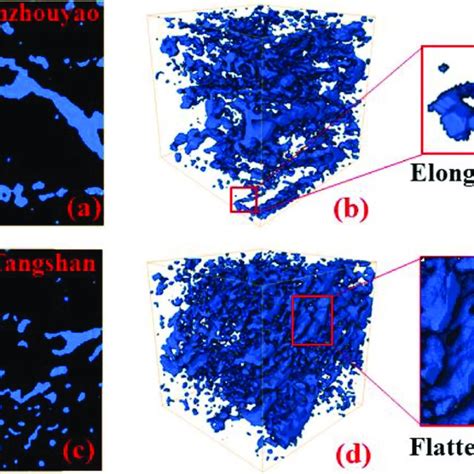 Pore Structure Morphology In Two Coal Samples A Two Dimensional Pore