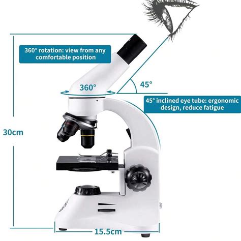 100x 2000x Microscope For Adults Professional Biological Optical