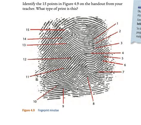 Identify The Ridge Characteristics Numbered In Chegg Com