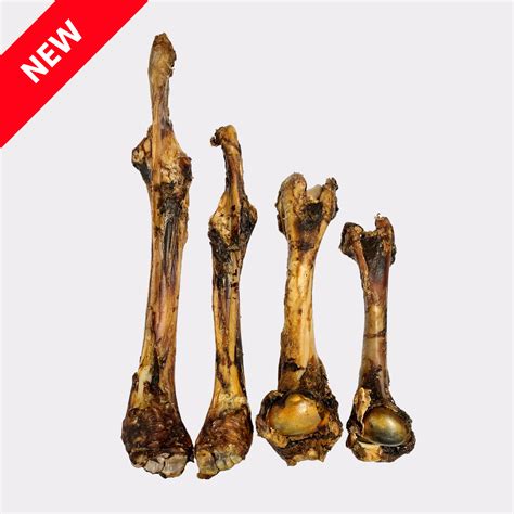 Medium Venison Deer Bones 1pc And 10pcs Cherish Lewis
