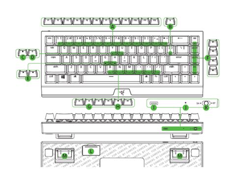 Razer BlackWidow V3 Mini HyperSpeed RZ03 03890 Support FAQs