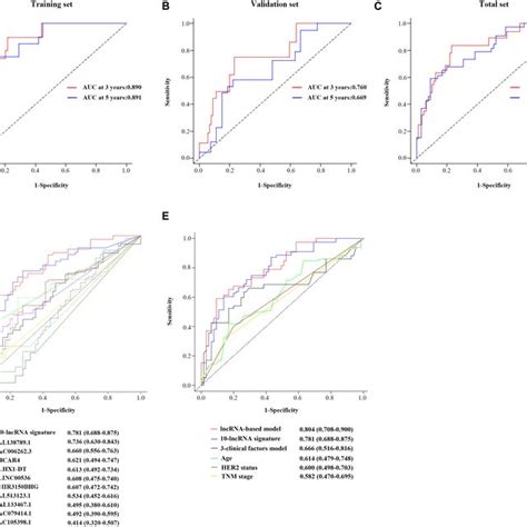 Performance Evaluation Of The 10 Lncrna Based Prognostic Model
