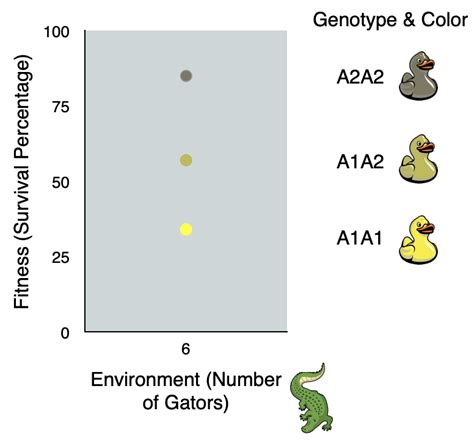 3 Genotype And Fitness Ducks And Gators Tutorial
