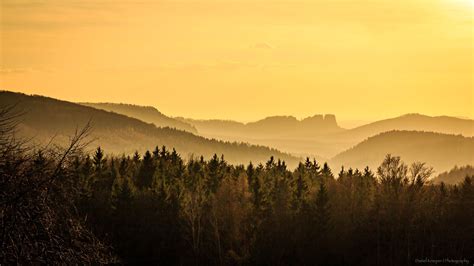 Forest Mountains Trees Fog Landscape Silhouette Background 4K HD Nature Wallpapers HD