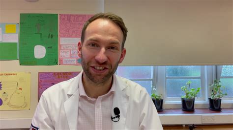 Meet Cognito Maths And Science Gcse Videos Meet Amadeus The Voice