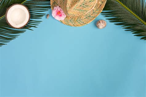 푸른 파스텔 배경에 코코넛 녹색 야자수 잎과 모자와 세련 된 여름 구성 복사 공간이 있는 아트웍 모의 광고 개념에 대한 스톡