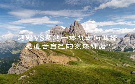 烤箱VS蒸烤一体机如何选择更适合自己的烹饪神器 掌上生意经