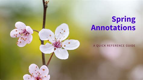 Spring Annotations Cheat Sheet