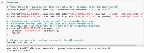 Using Custom Action Recognition Model In Deepstream 3d Action