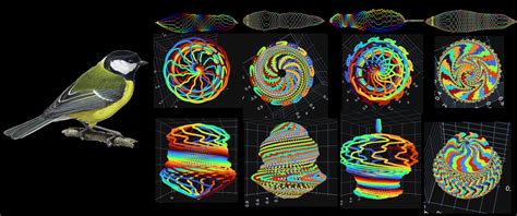 Topological Data Analysis For Bird Songs