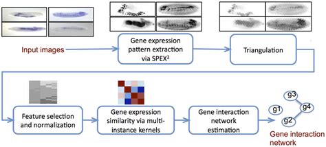 Gini Schematic The Schematic Shows An Outline Of The Overall System To